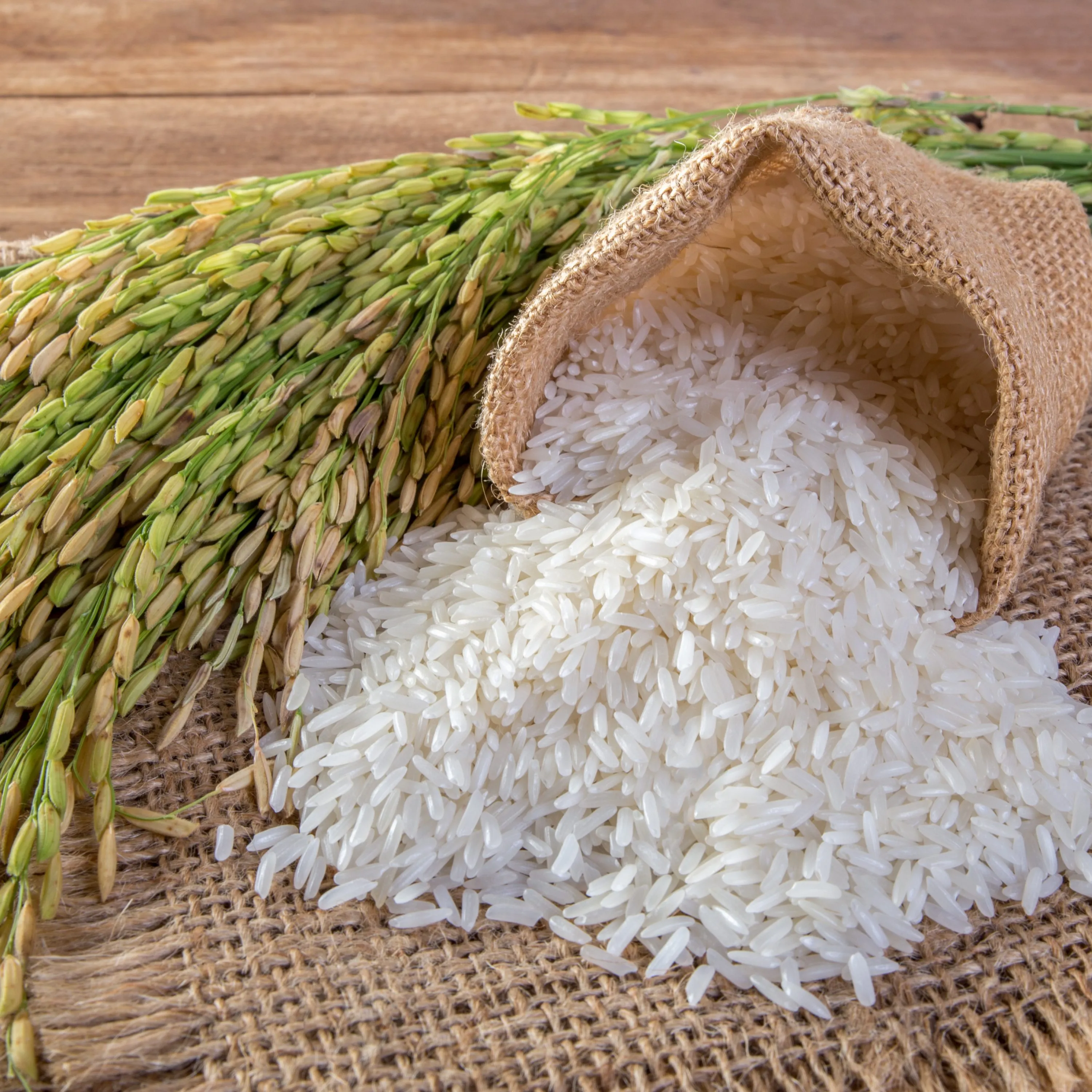 Rice Export: चावल का निर्यात हुआ महंगा! सरकार ने परबॉयल्ड और मिल्ड चावल ...