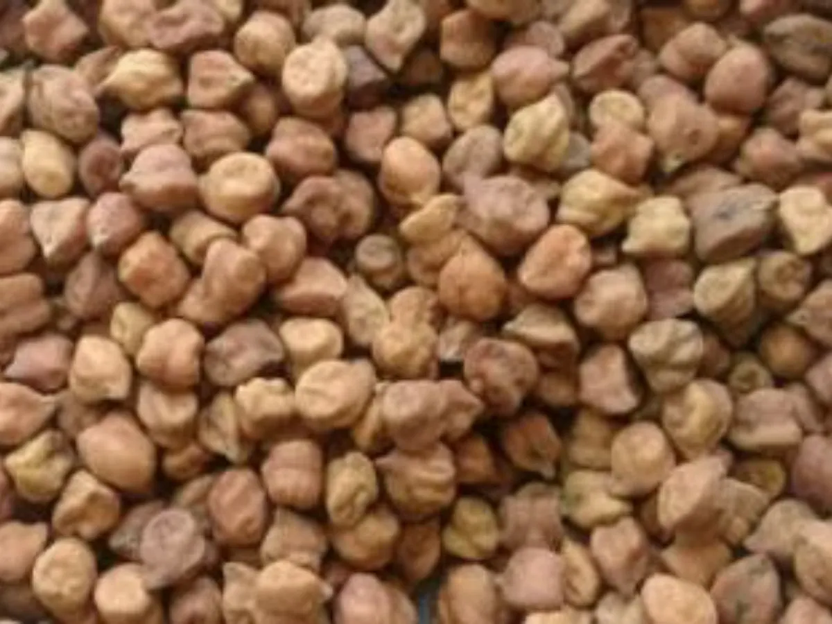 Chana Price today: चना हुआ गरम, आवक घटने और निचले भाव पर खरीद बढ़ने से ...